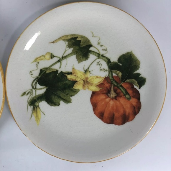 Williams Sonoma | Dining | Williams Sonoma Botanical Pumpkin Plates Set ...